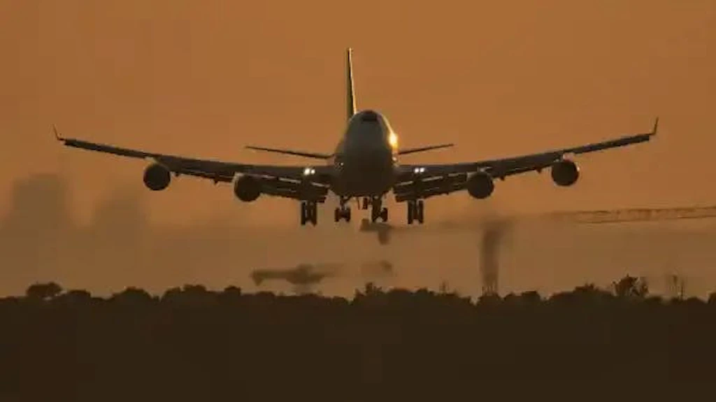 Un cavallo imbizzarrito a bordo costringe l'aereo a tornare indietro