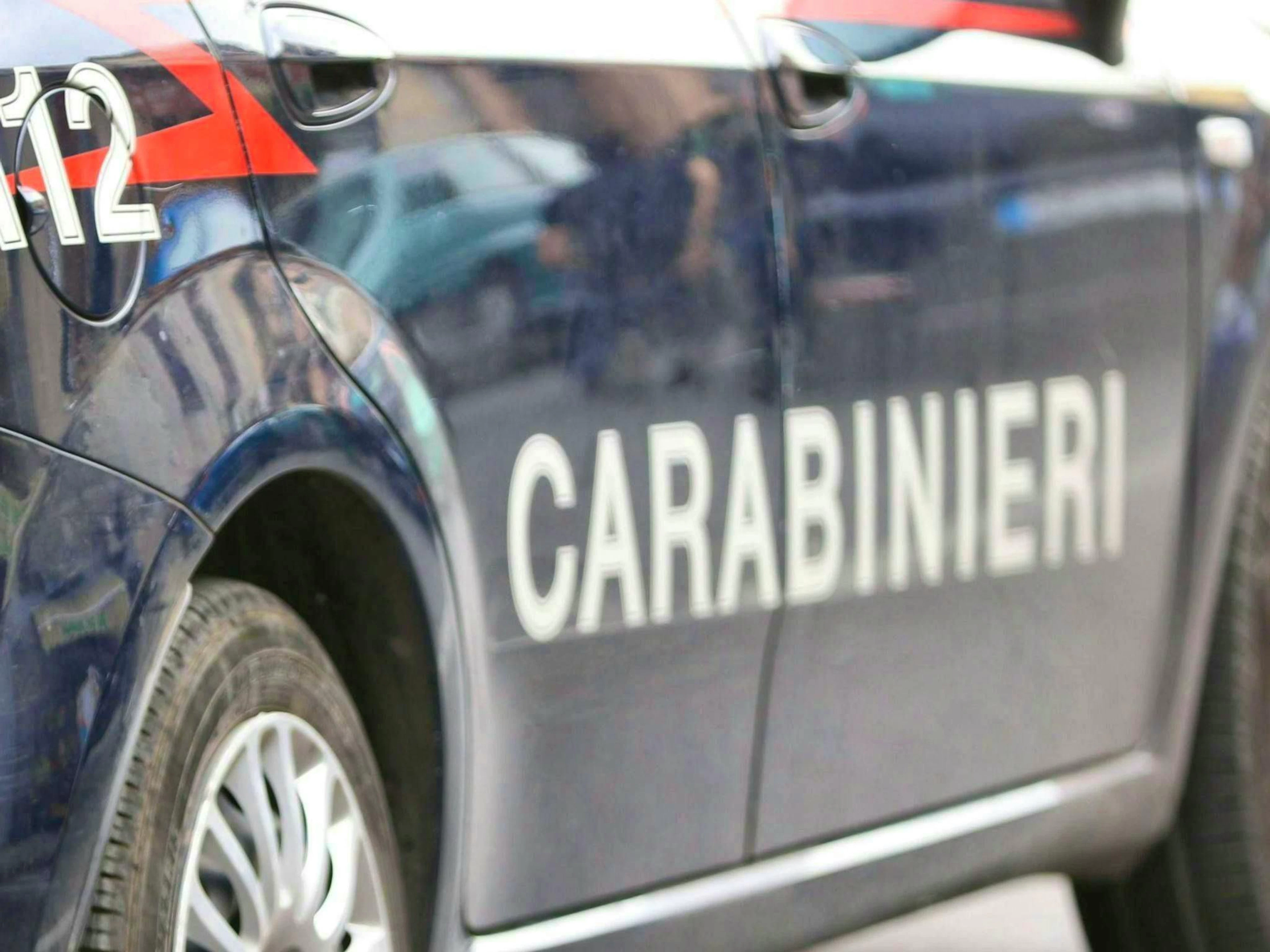 Emergency services find another buried baby body
