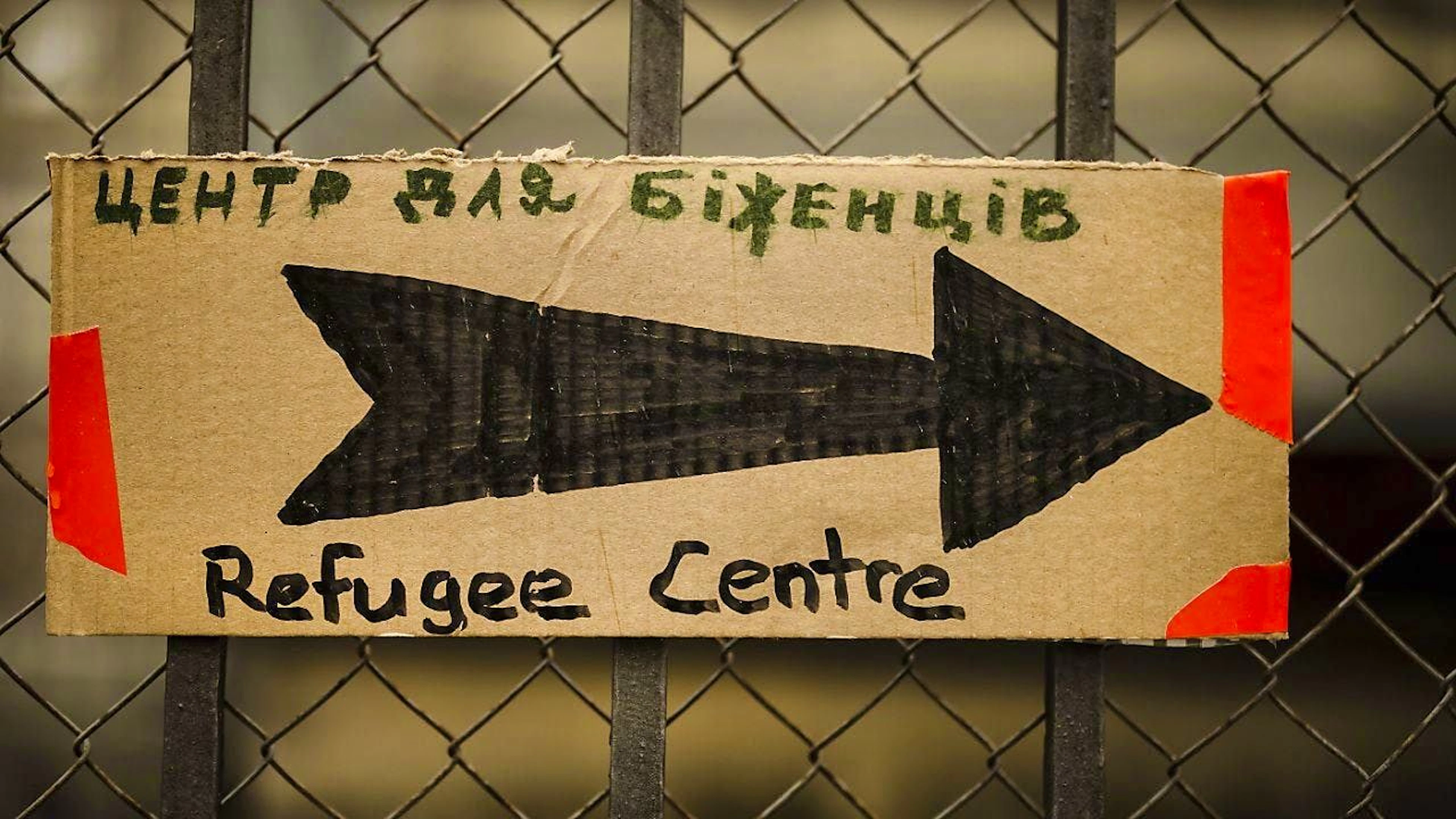 27 percent of Ukrainian refugees in the canton of Zurich work