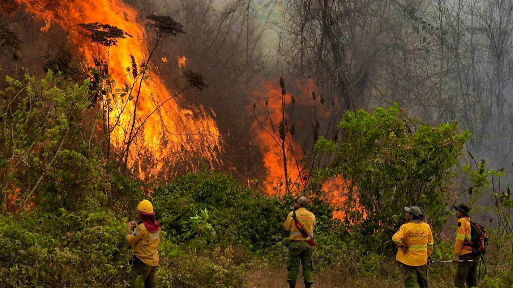 Catastrophic fires in Bolivia: Destroyed area larger than Portugal