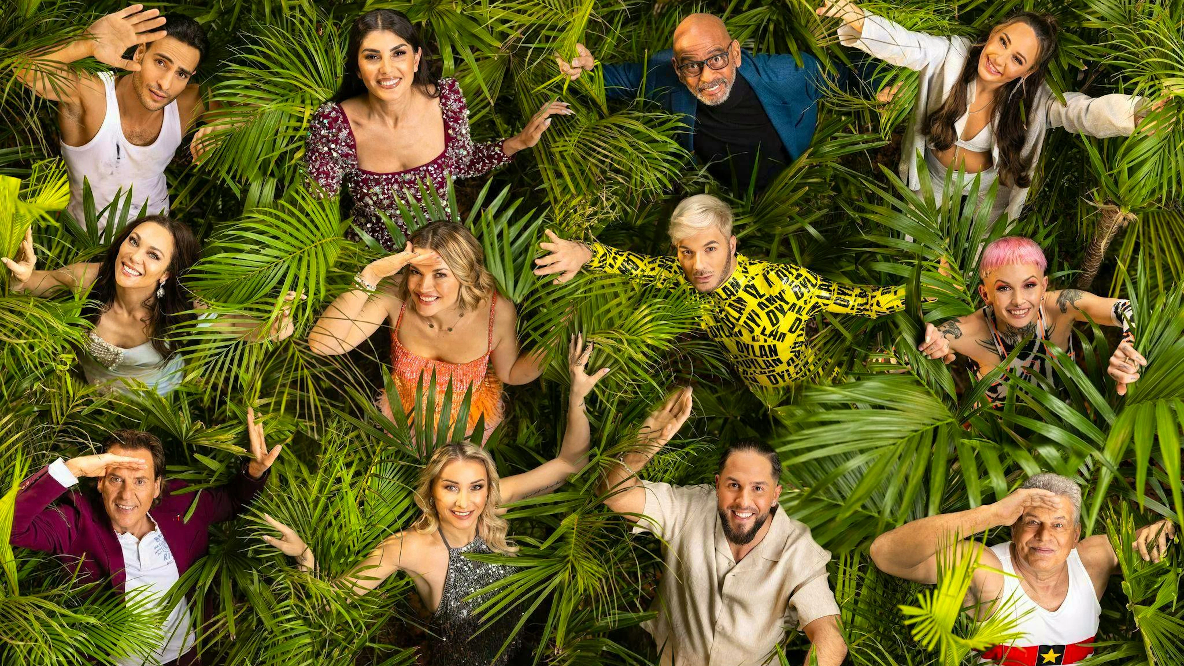 These stars are moving into the jungle camp