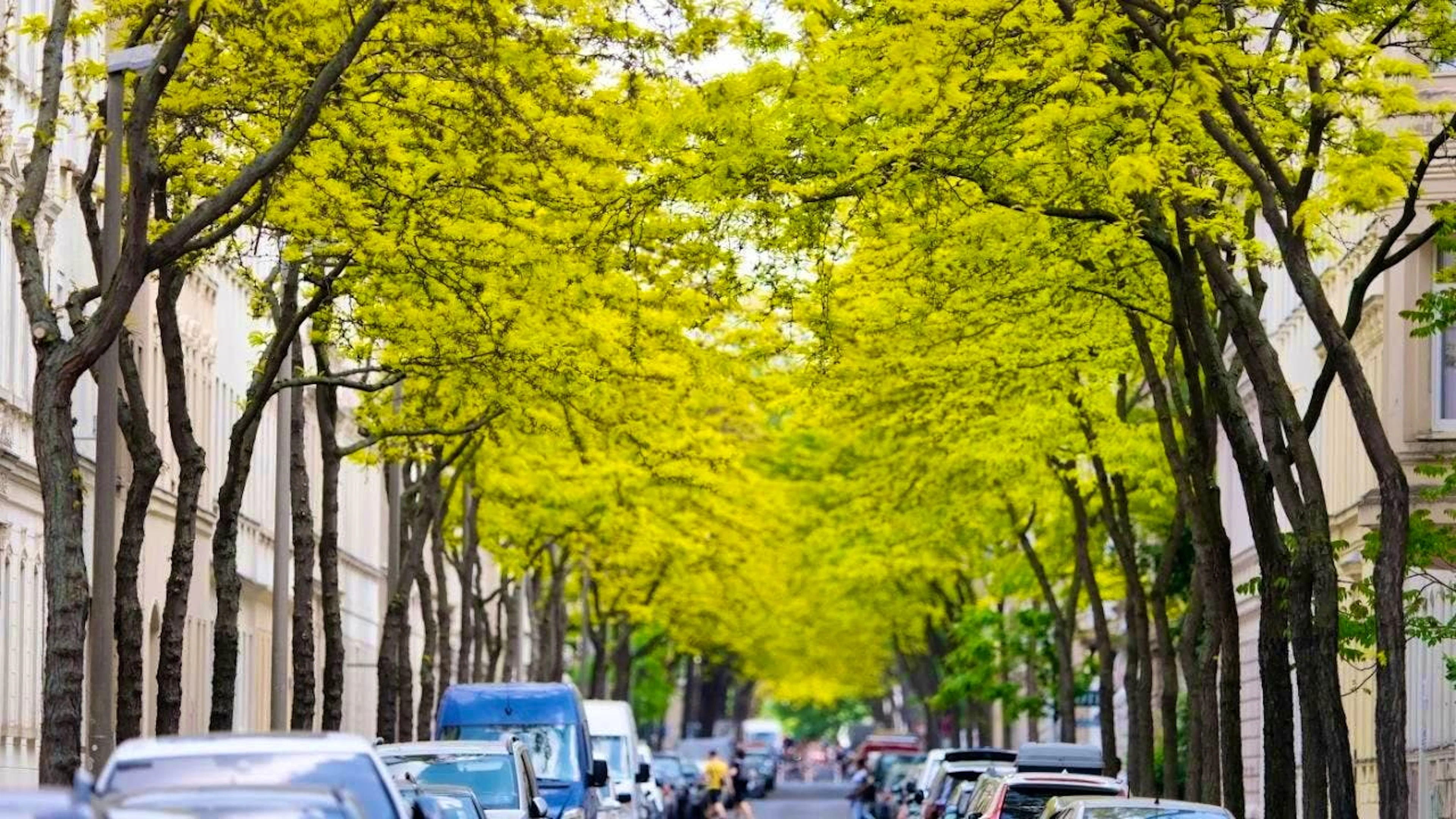 Urban greening could significantly reduce the number of heat victims