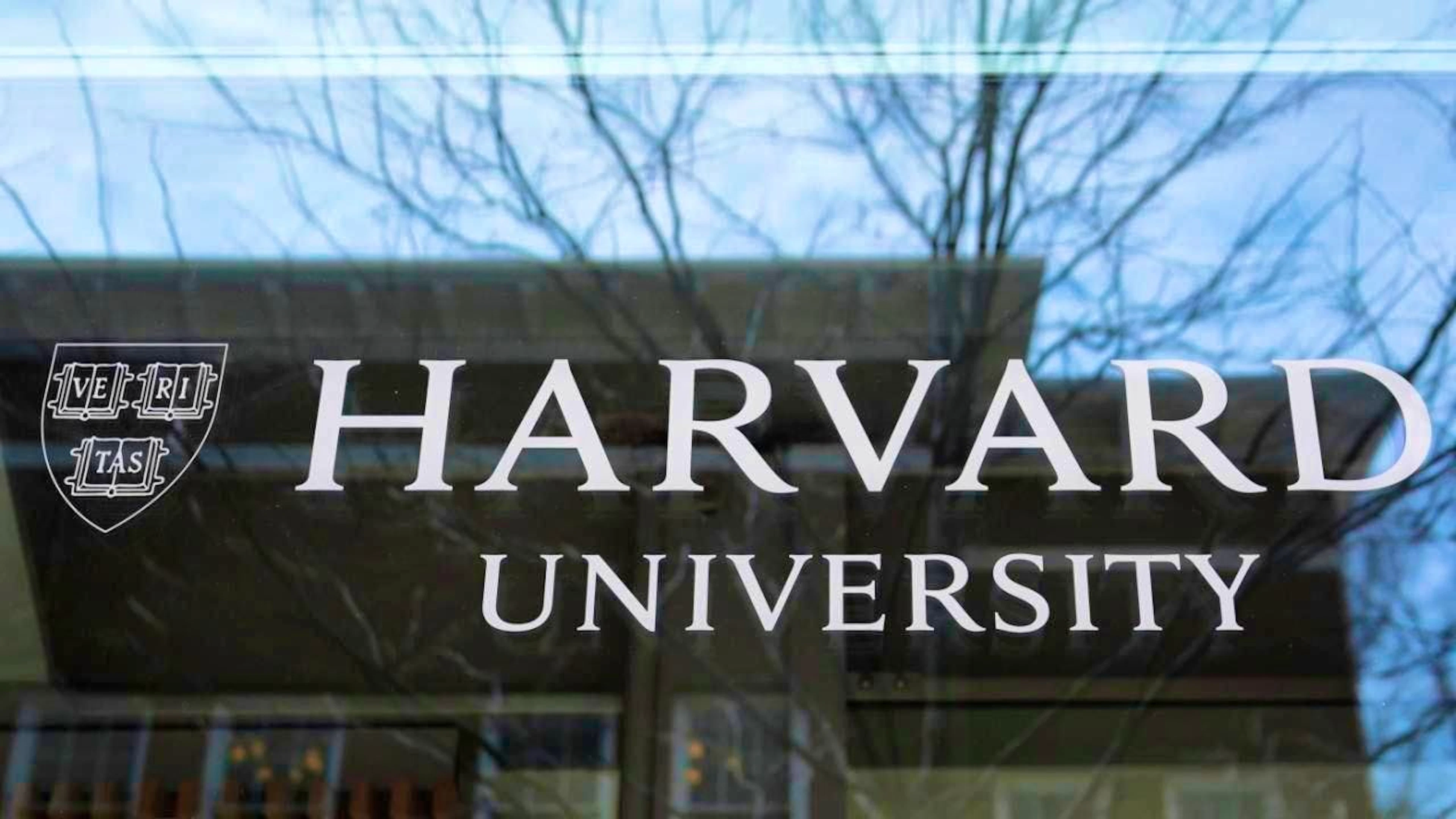 US judge halts Trump's action against Harvard