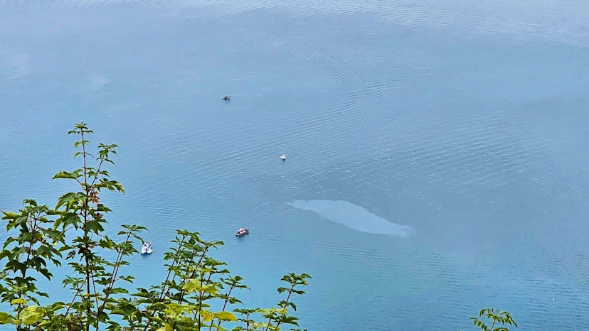 Plane crashes into Lake Lucerne: Police release new information