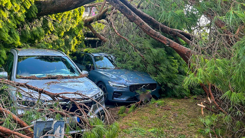 Una tempesta notturna scuote la costa romagnola lasciando danni e paura
