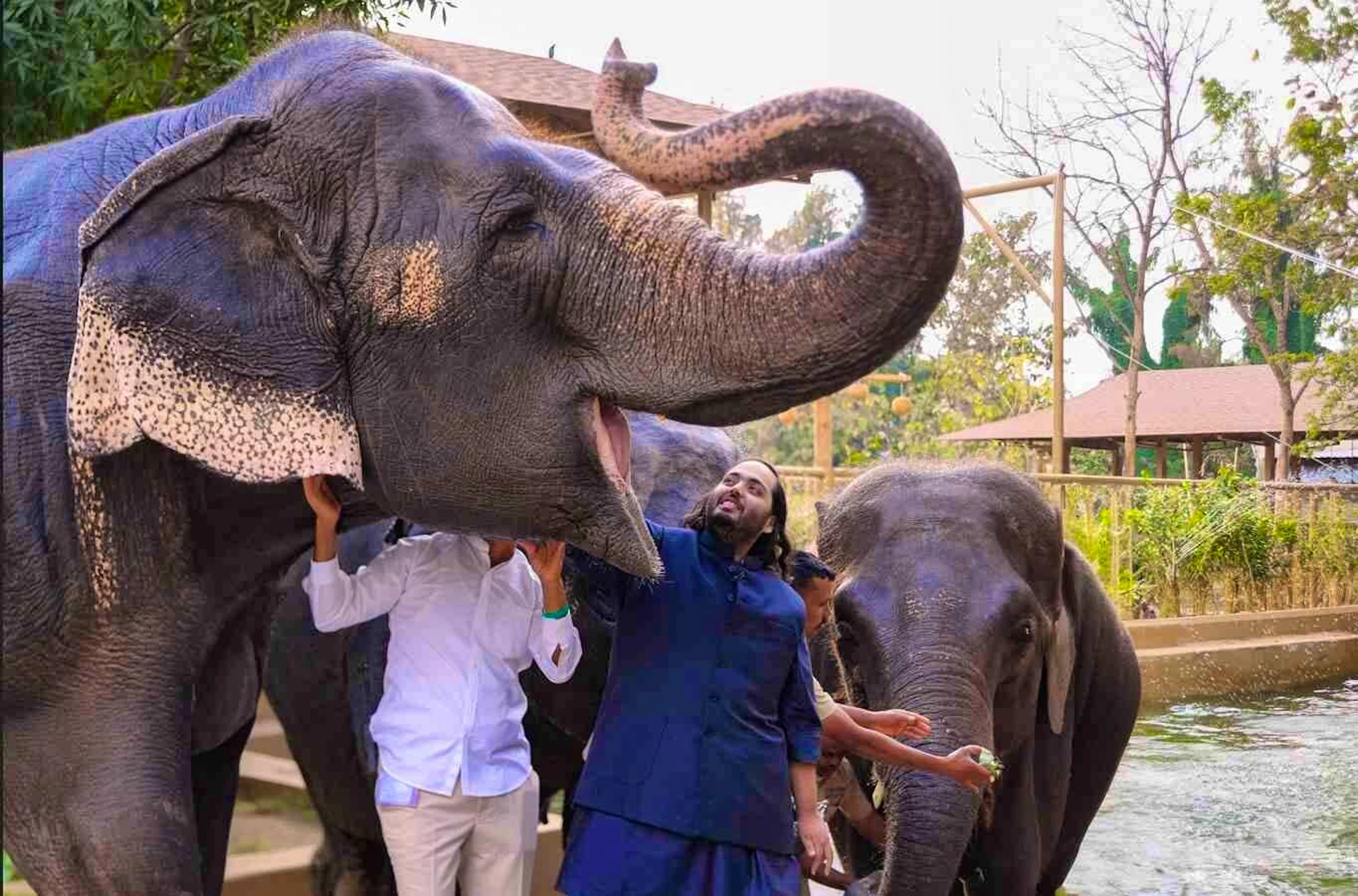 Billionaire's son builds private zoo - and now has the police on his tail