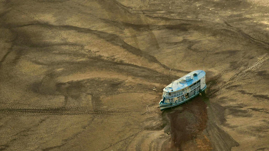 Amazon at the limit - fire, drought and the tipping point that could ...
