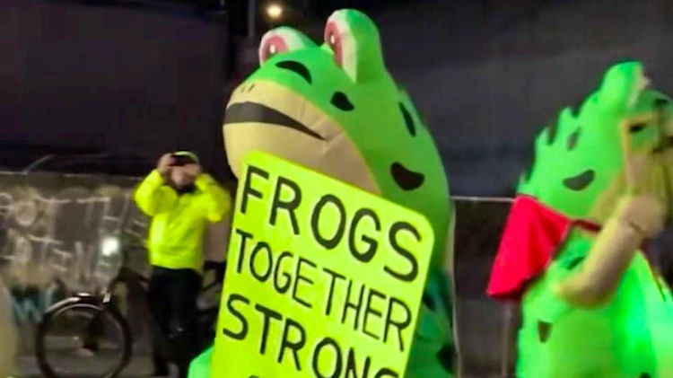 This is why people in Portland are protesting against ICE in animal ...