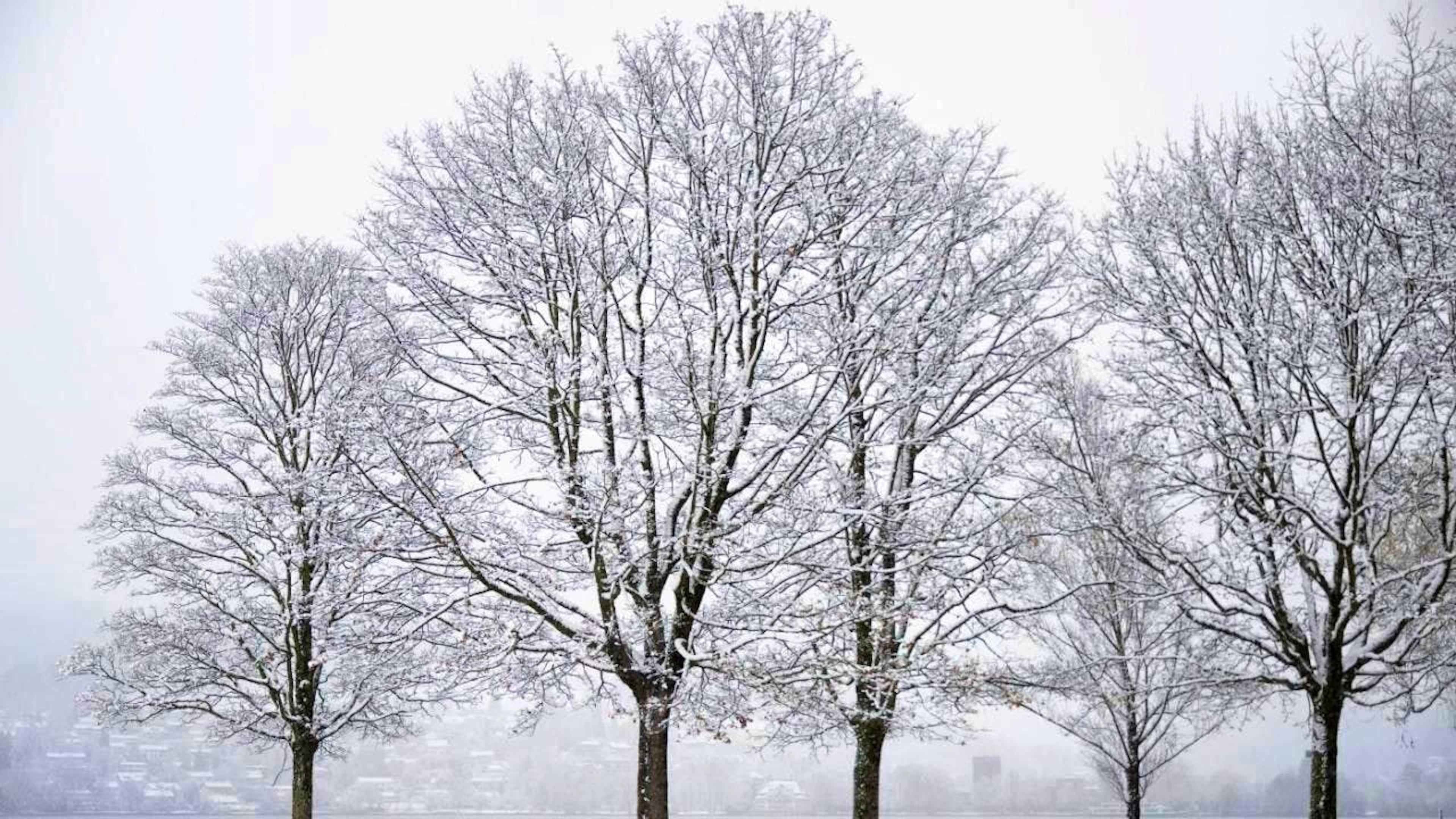 MeteoSwiss expects mild winter despite weaker polar vortex