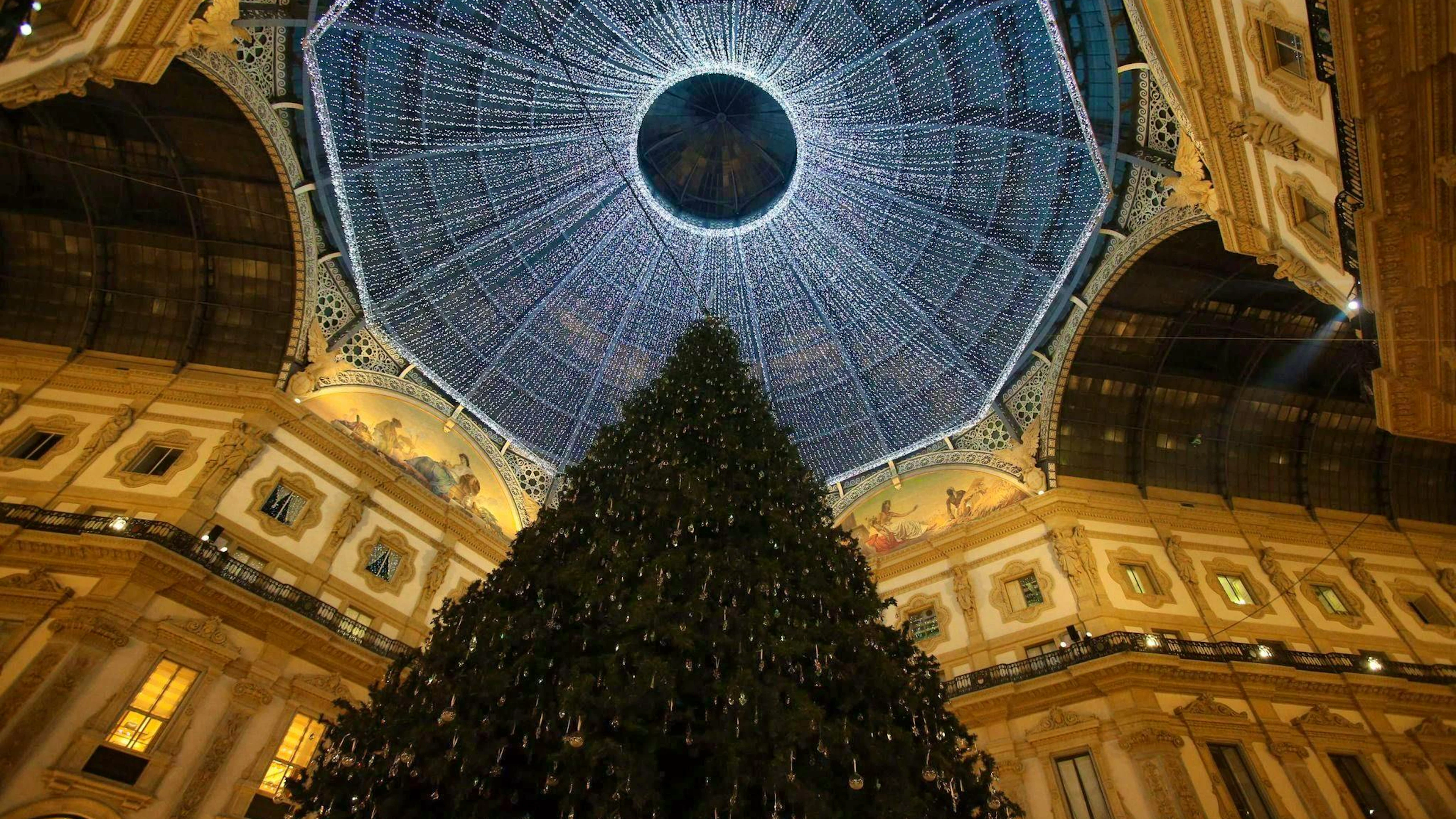 These are the most spectacular Christmas trees from around the world