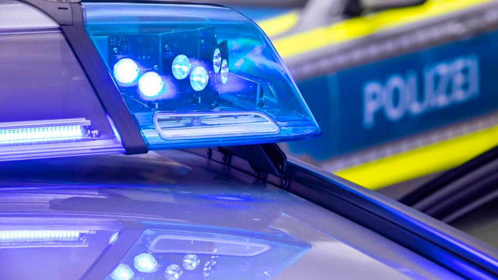 Five arrests over Christmas market attack plan
