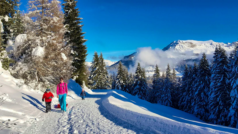 The 12 most beautiful hikes through the snow