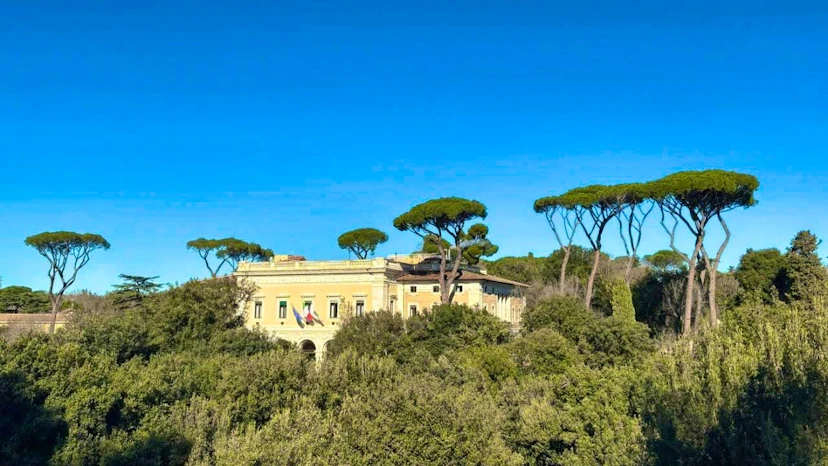 Rome's pine trees in danger: is there a threat of major tree felling?