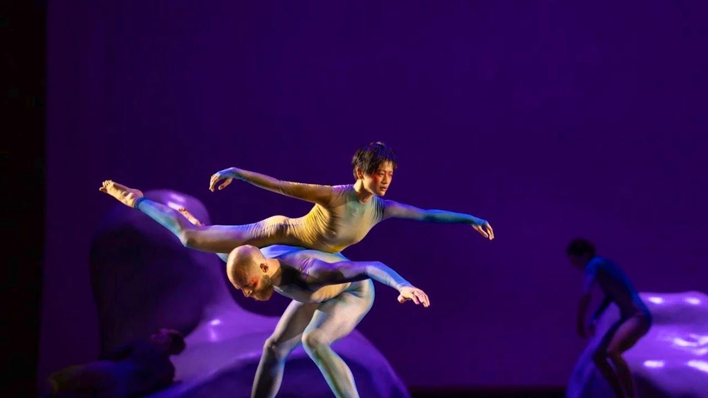 Double bill and big names at the Steps dance festival
