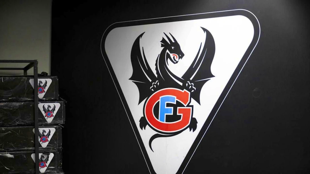 Finnish defenseman for Fribourg