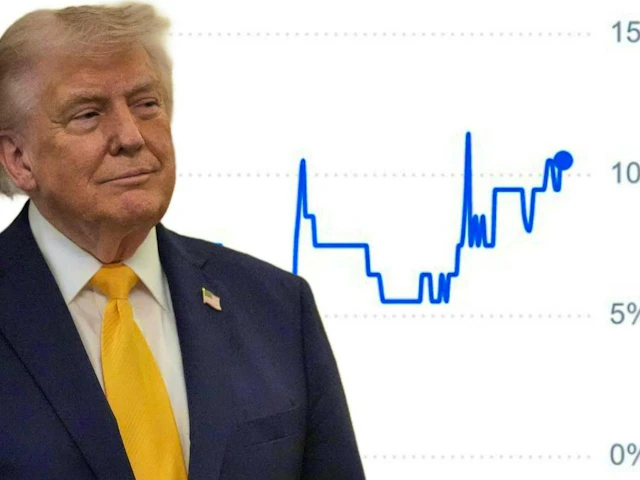 Trump halts attacks on Iran - conspicuous bets raise questions
